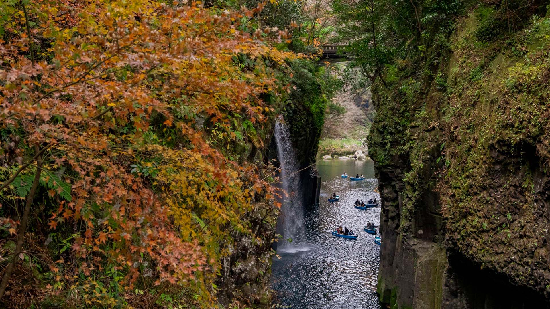 Nature | We are Japan